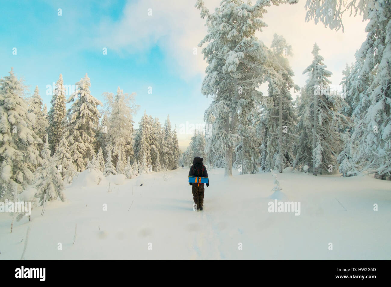 Alpine snowy forest in hi-res stock photography and images - Alamy