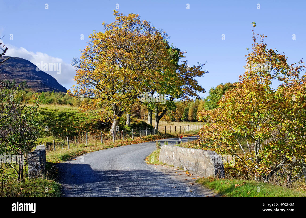 Scottish country lane highlands hi-res stock photography and images - Alamy
