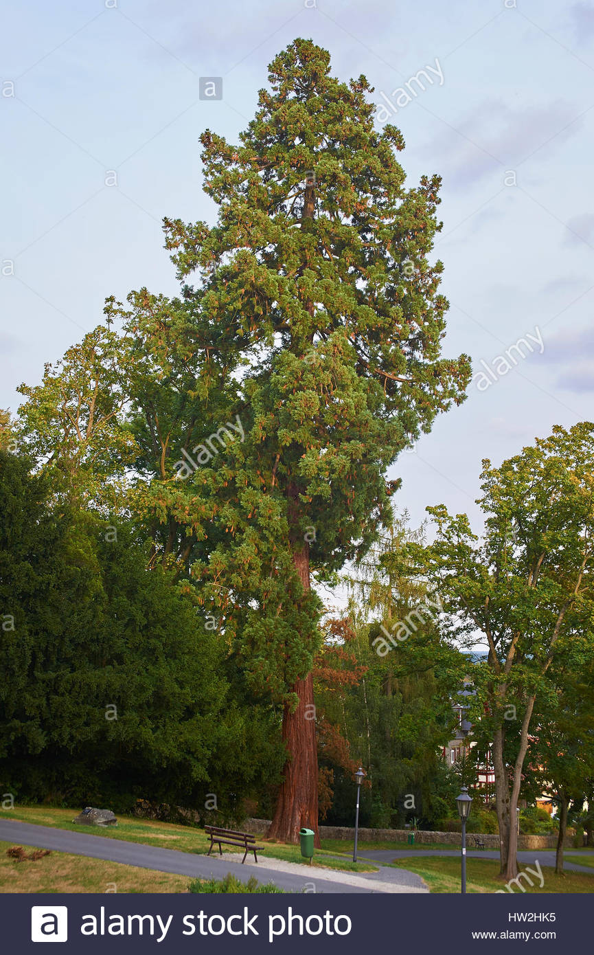 Mammut Stock Photos & Mammut Stock Images - Alamy