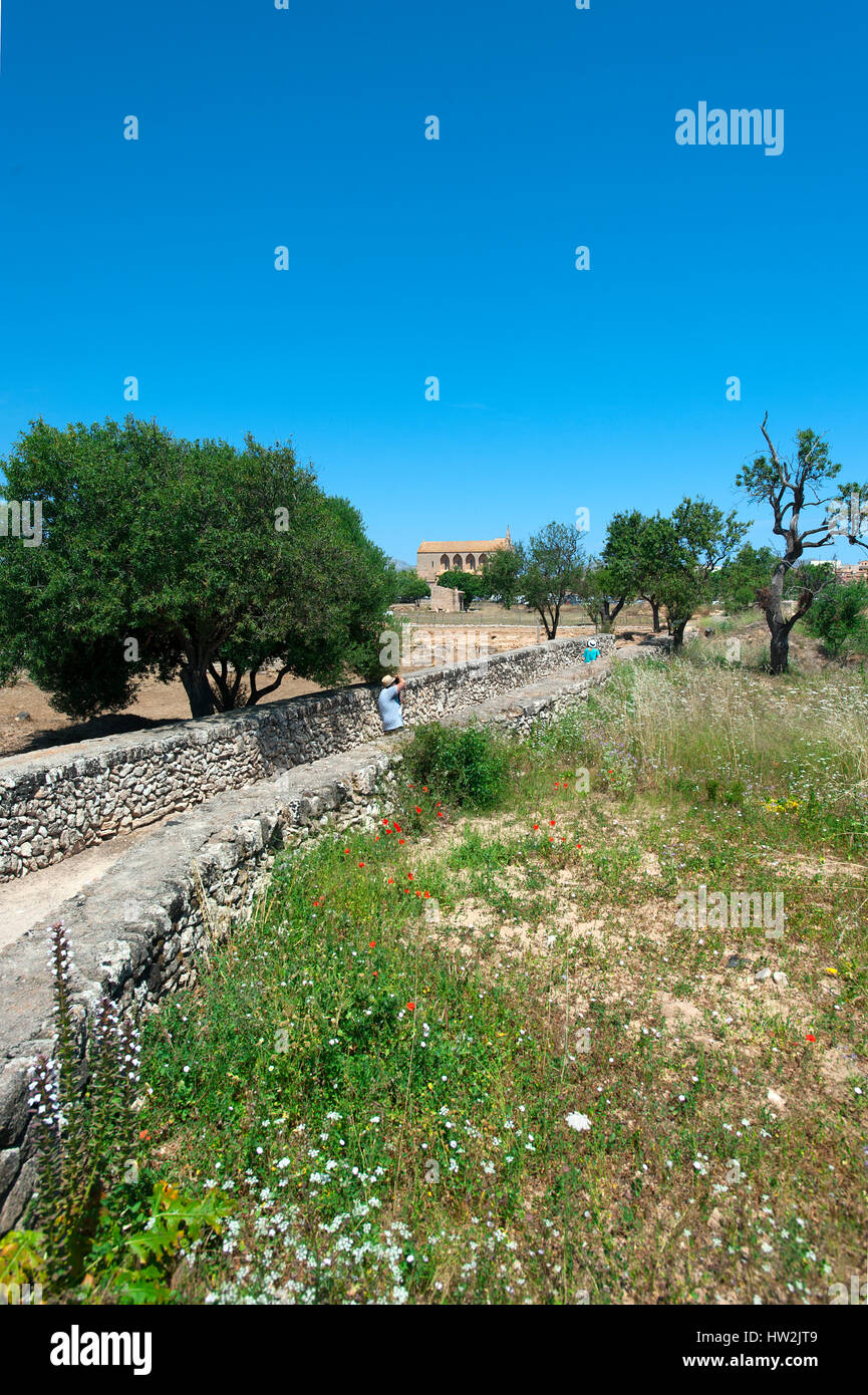 Pollentia Roman Ruins, Alcudia, Baleares, Spain Stock Photo - Alamy