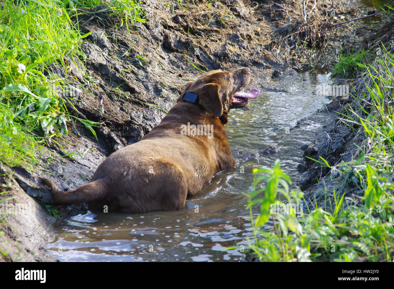 Cooling mud bath hi-res stock photography and images - Alamy