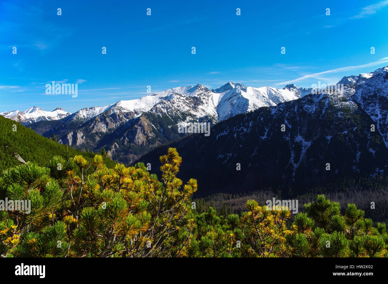 Amazing autumn landscape from a trail in the High Tatras Stock Photo ...