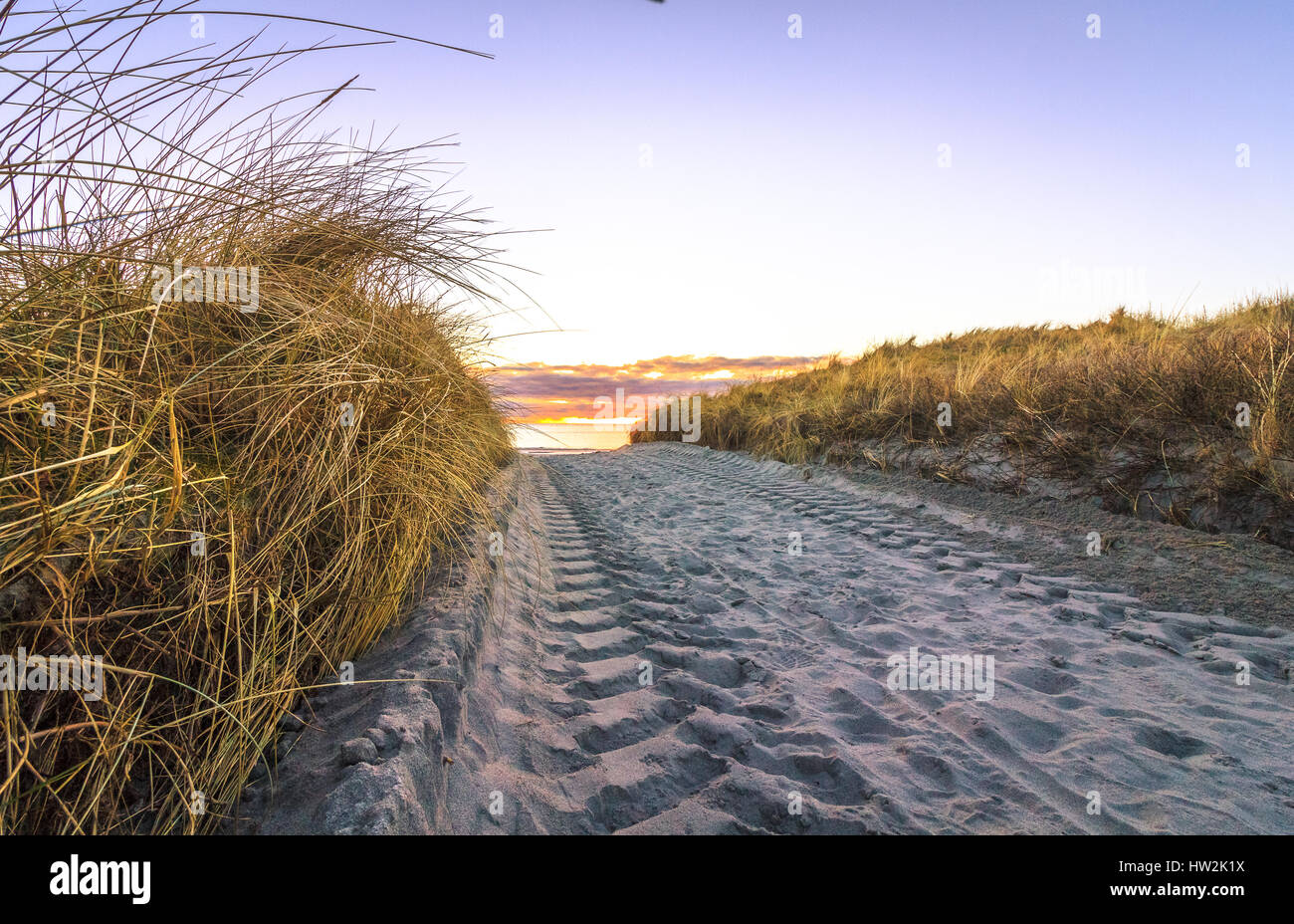 Wheel tracks on sand road, Lista Norway Stock Photo - Alamy