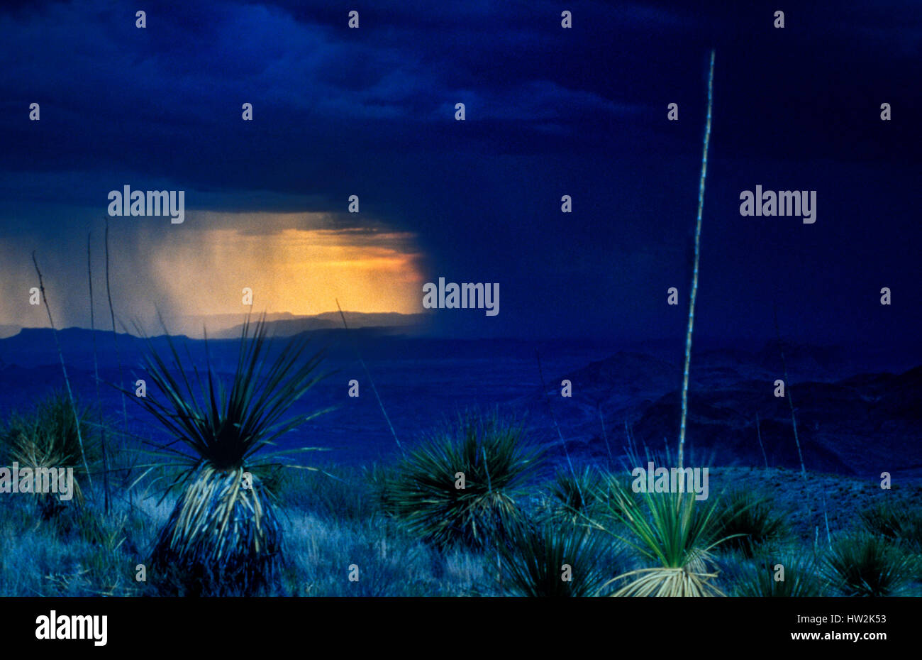 Big bend national park weather hi-res stock photography and images - Alamy