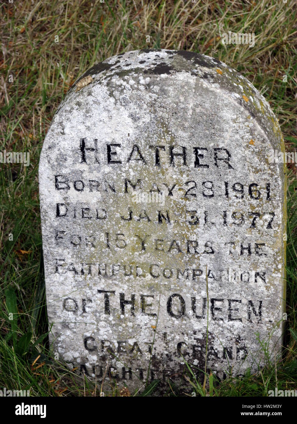The Graves of the Queen's Corgi's and other royal family pets at ...