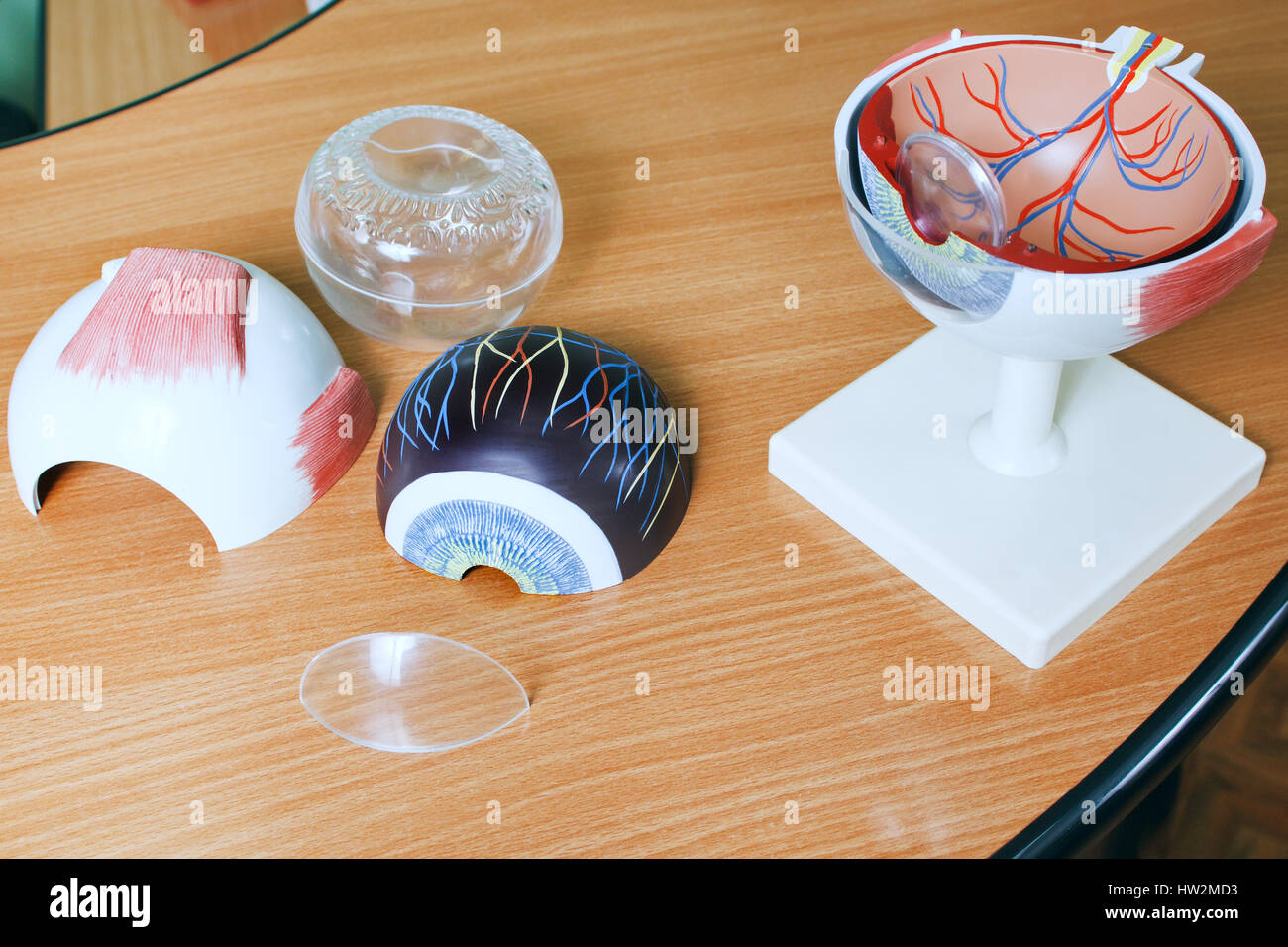 Ophthalmology oculus sample closeup Stock Photo - Alamy