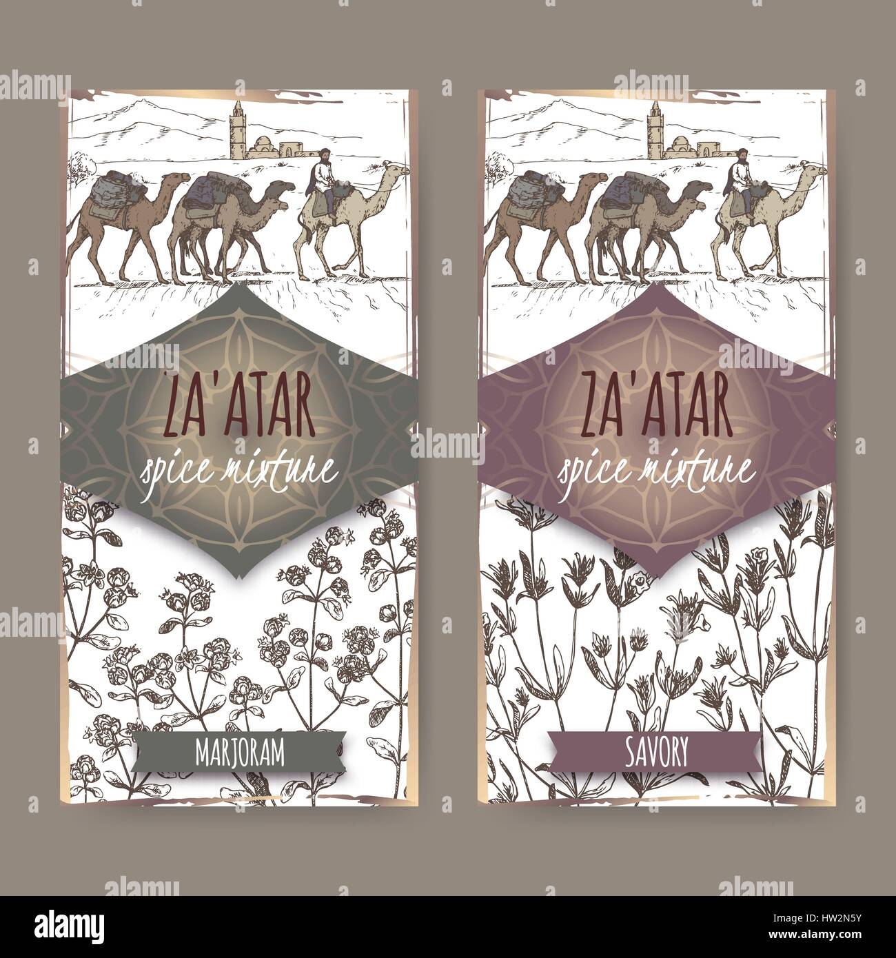 Two Zaatar spice labels with desert , marjoram and savory sketch Stock ...