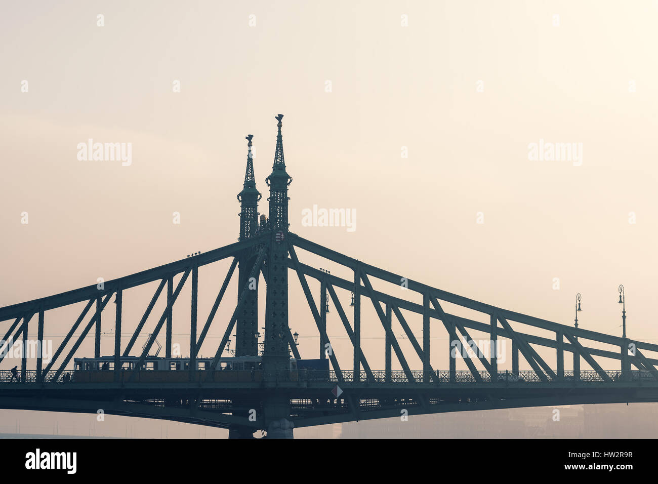 Distant view of Liberty or Freedom bridge over Danube river, Budapest ...