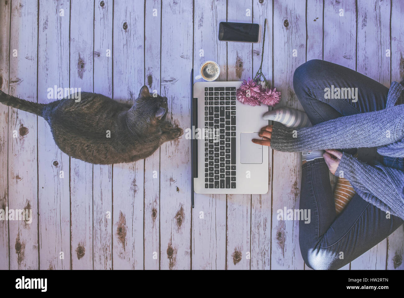 Creative space - Girl with her cat working from home Stock Photo - Alamy