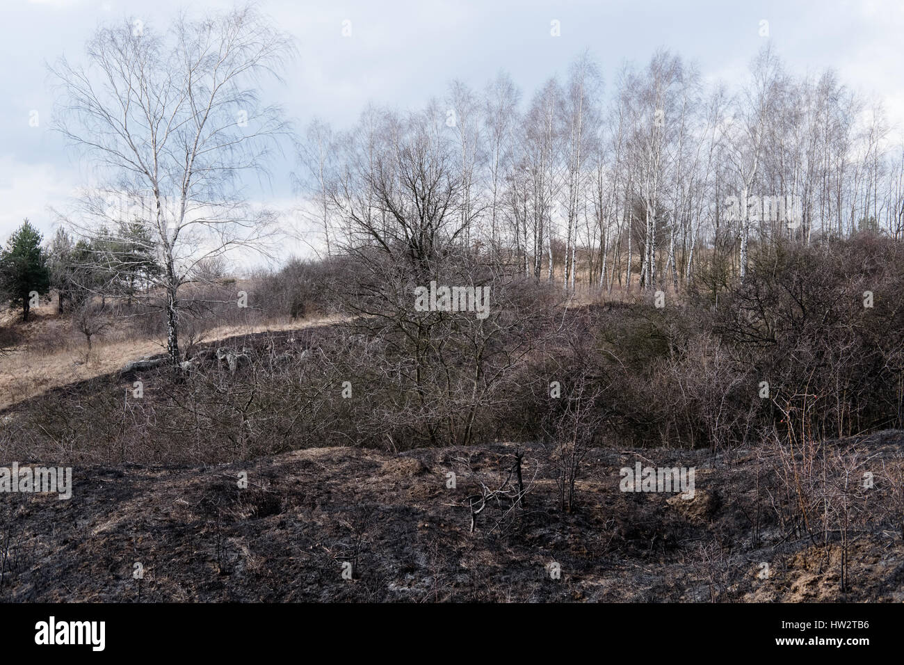 Landscape with burned soil Stock Photo - Alamy