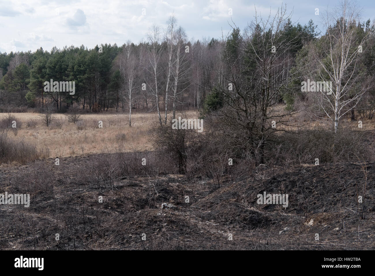 Landscape with burned soil Stock Photo - Alamy