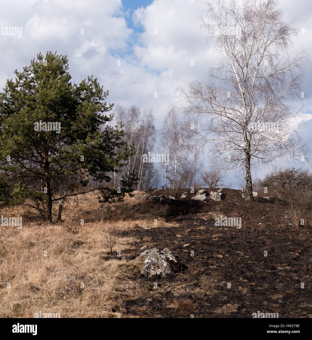 Landscape with burned soil Stock Photo - Alamy