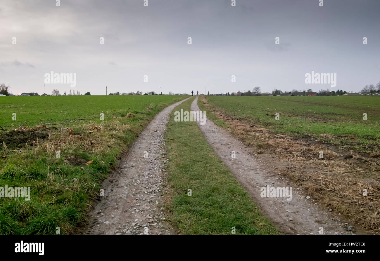 Road crossing an agricultural field in winter Stock Photo - Alamy