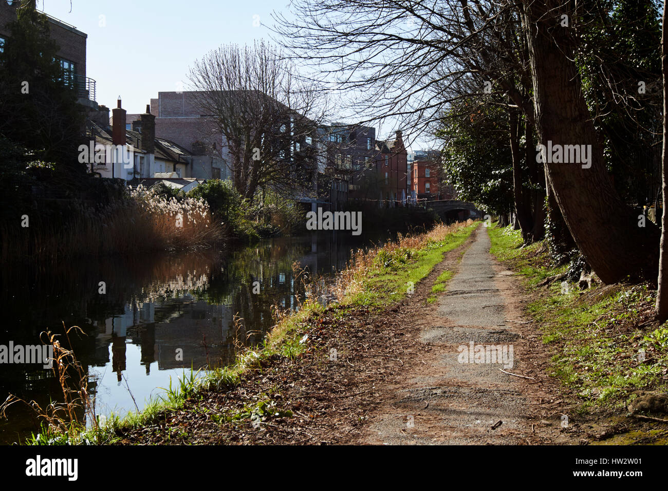overgrown part of the grand canal towpath in central Dublin Republic of ...