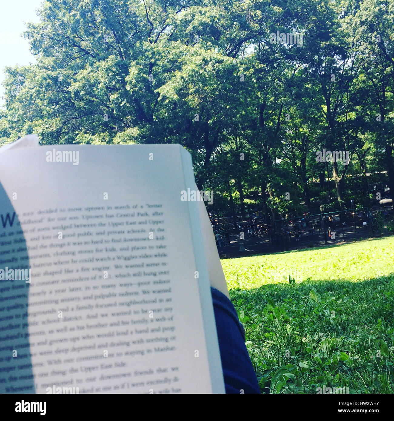 Reading in the park Stock Photo - Alamy