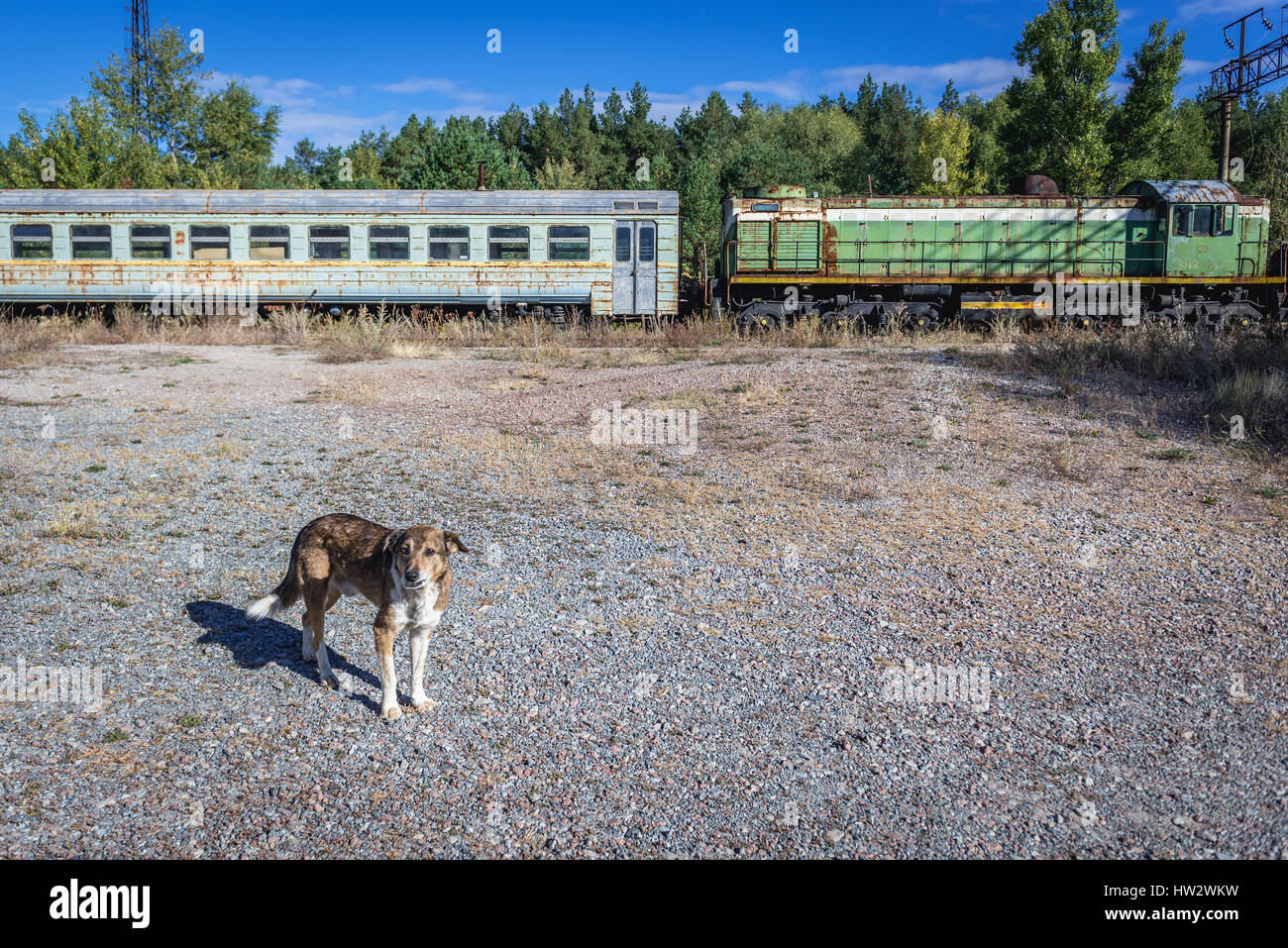 Old train in abandoned Yaniv town railway station, Chernobyl Nuclear ...