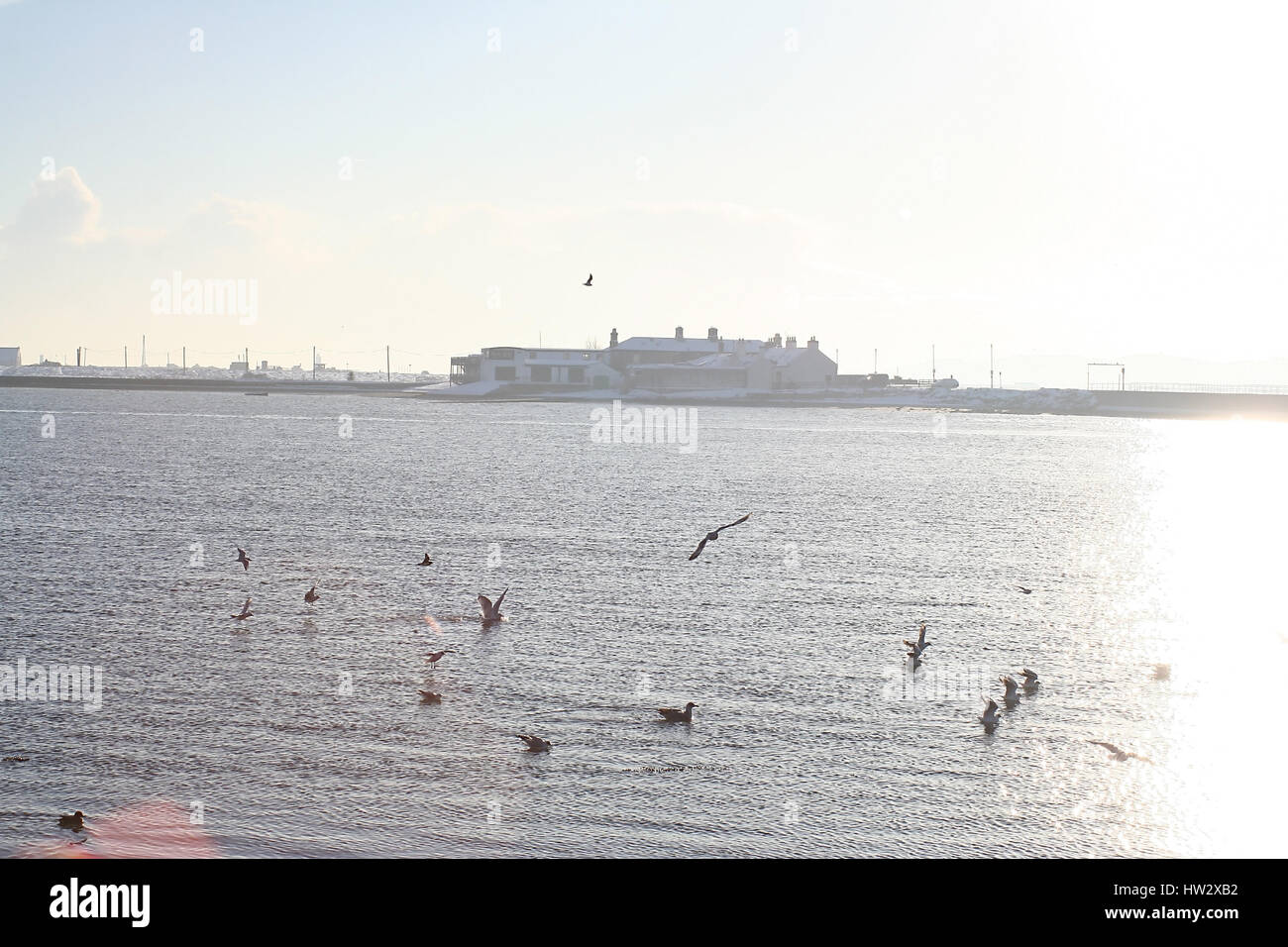 Snowfall dublin hi-res stock photography and images - Alamy