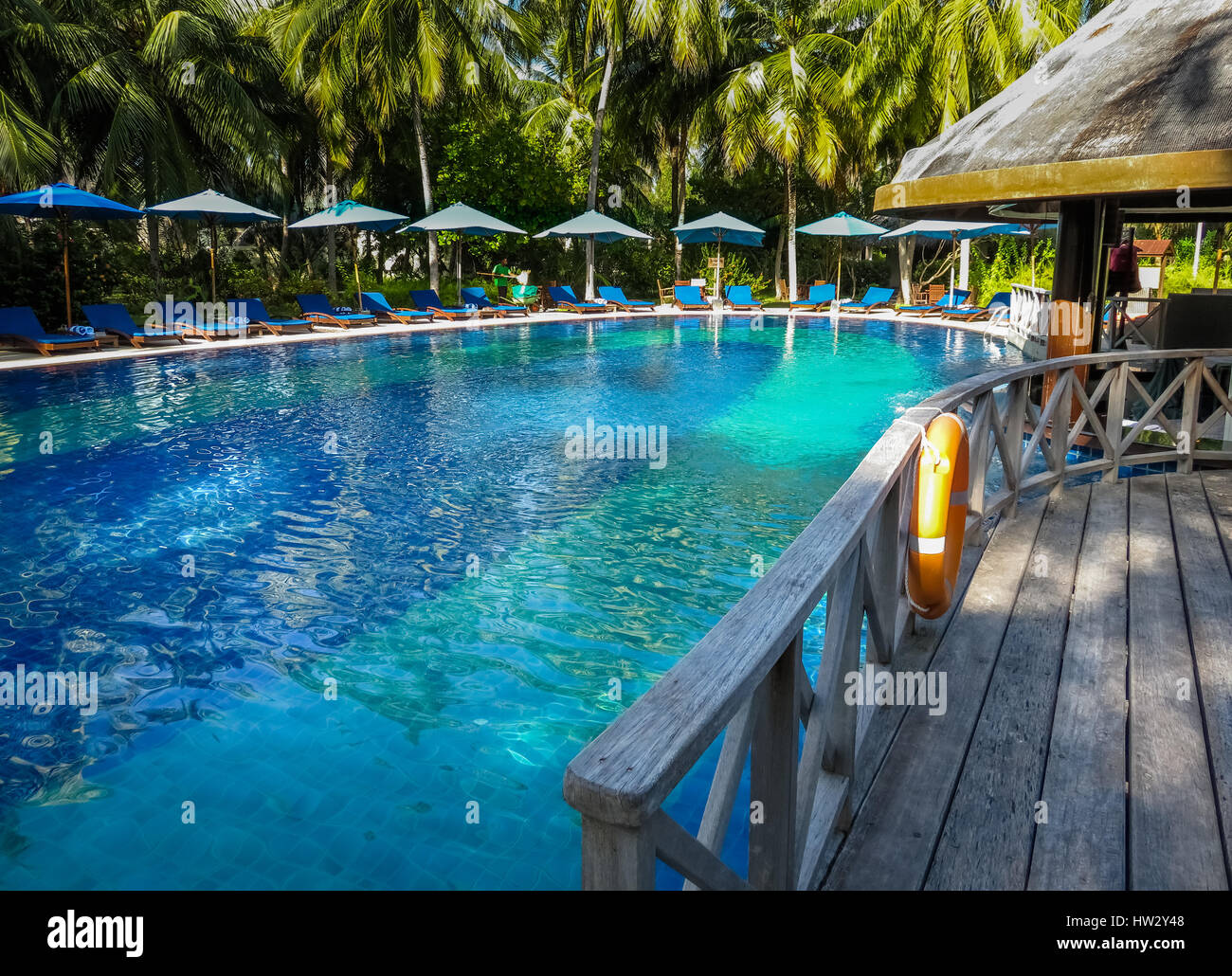 Swimming pool in the exotic resort, surrounded by chaise lounges and ...