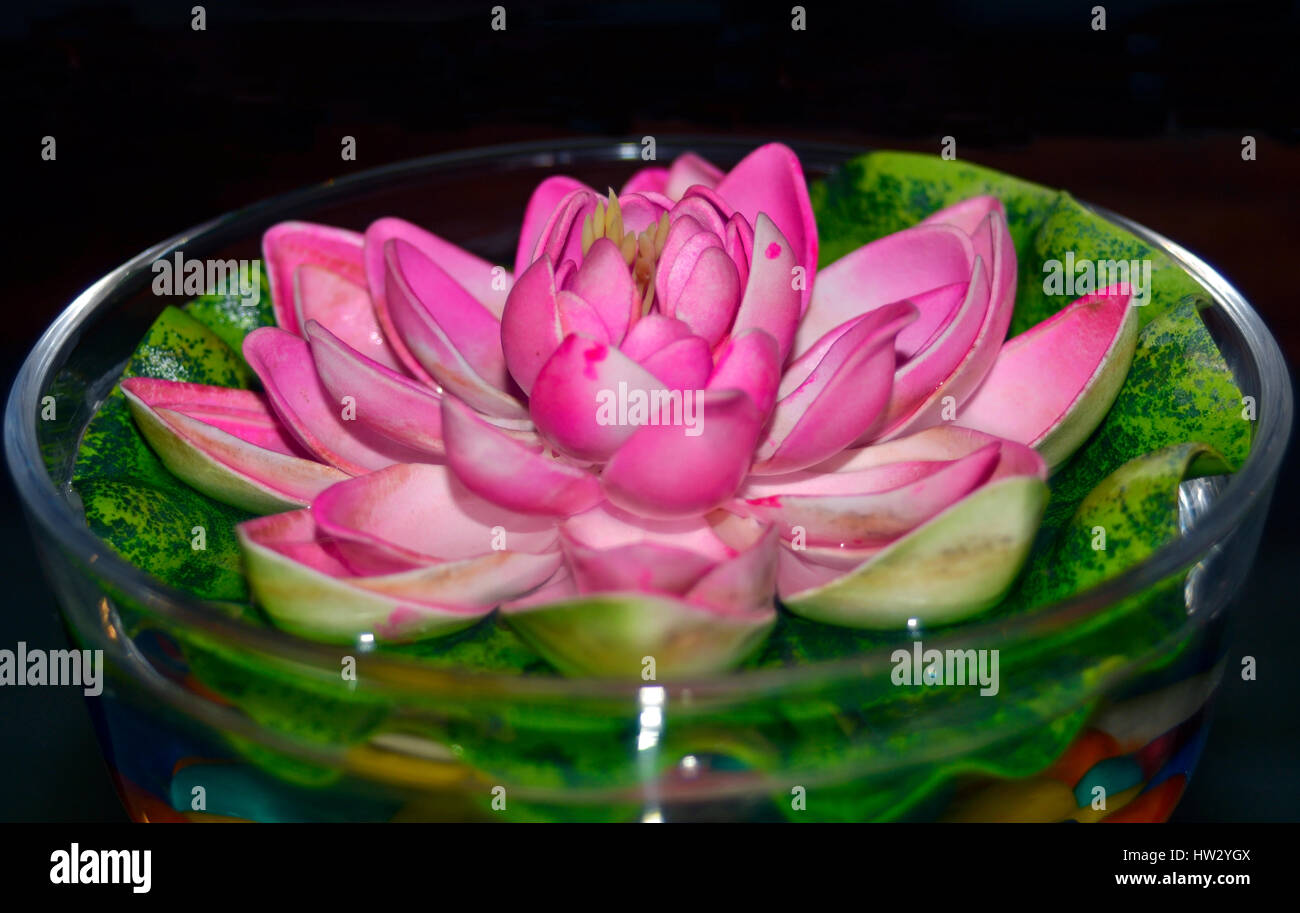 Lotus flower in a bowl Stock Photo - Alamy
