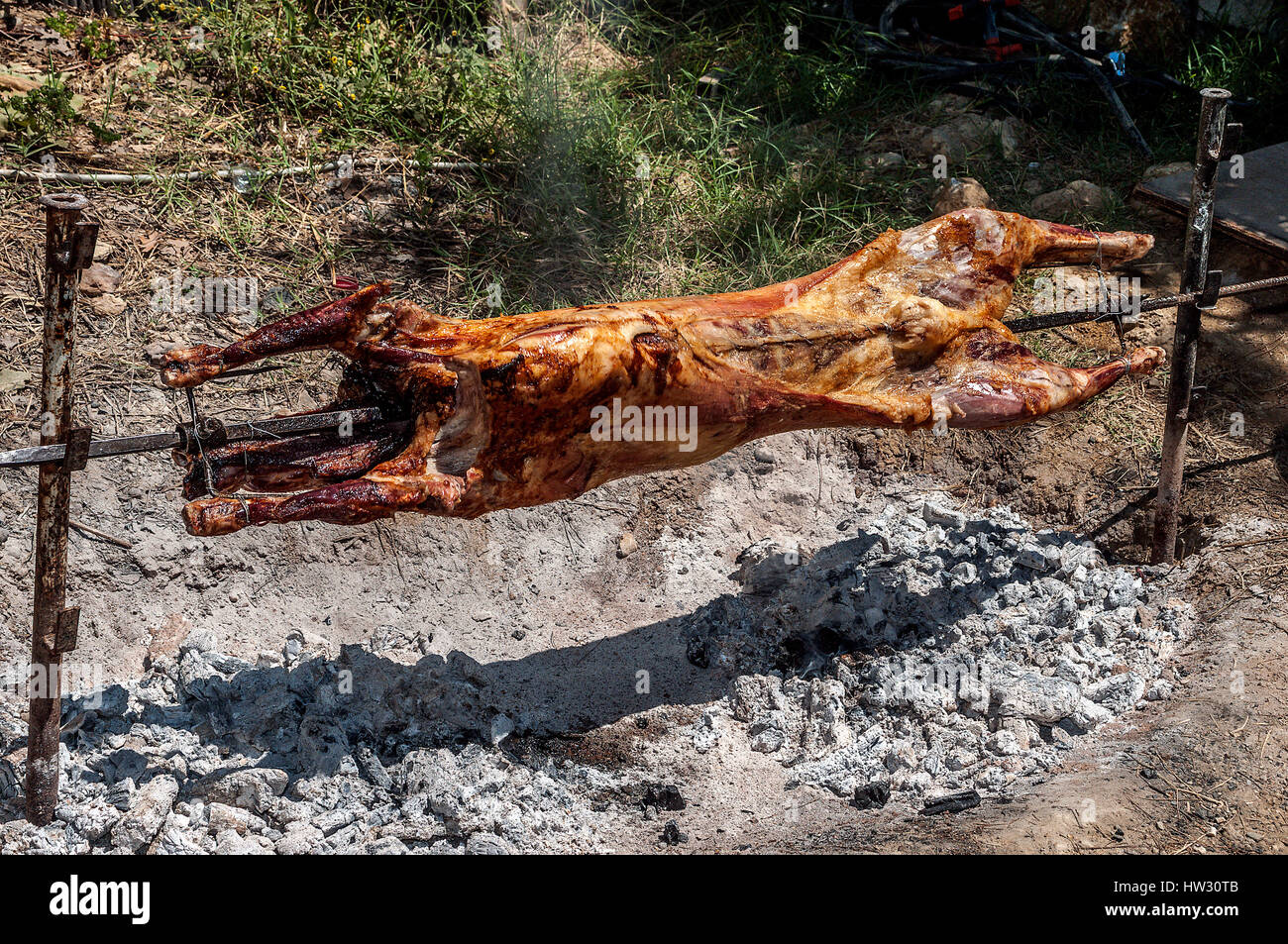Turkey. A small village in the mountains in the south. Sheep, whole ...
