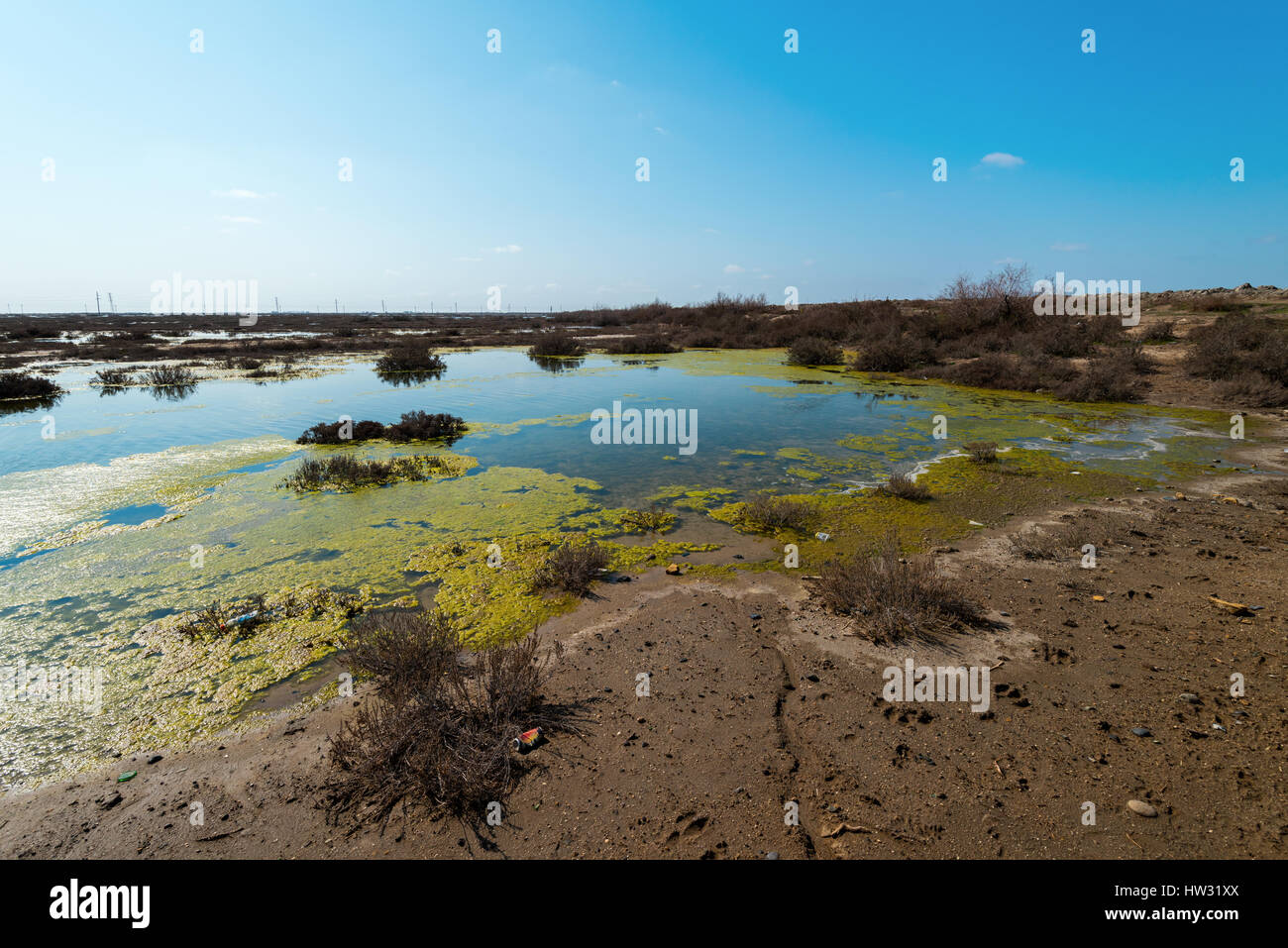 Debris contaminated contamination hi-res stock photography and images ...