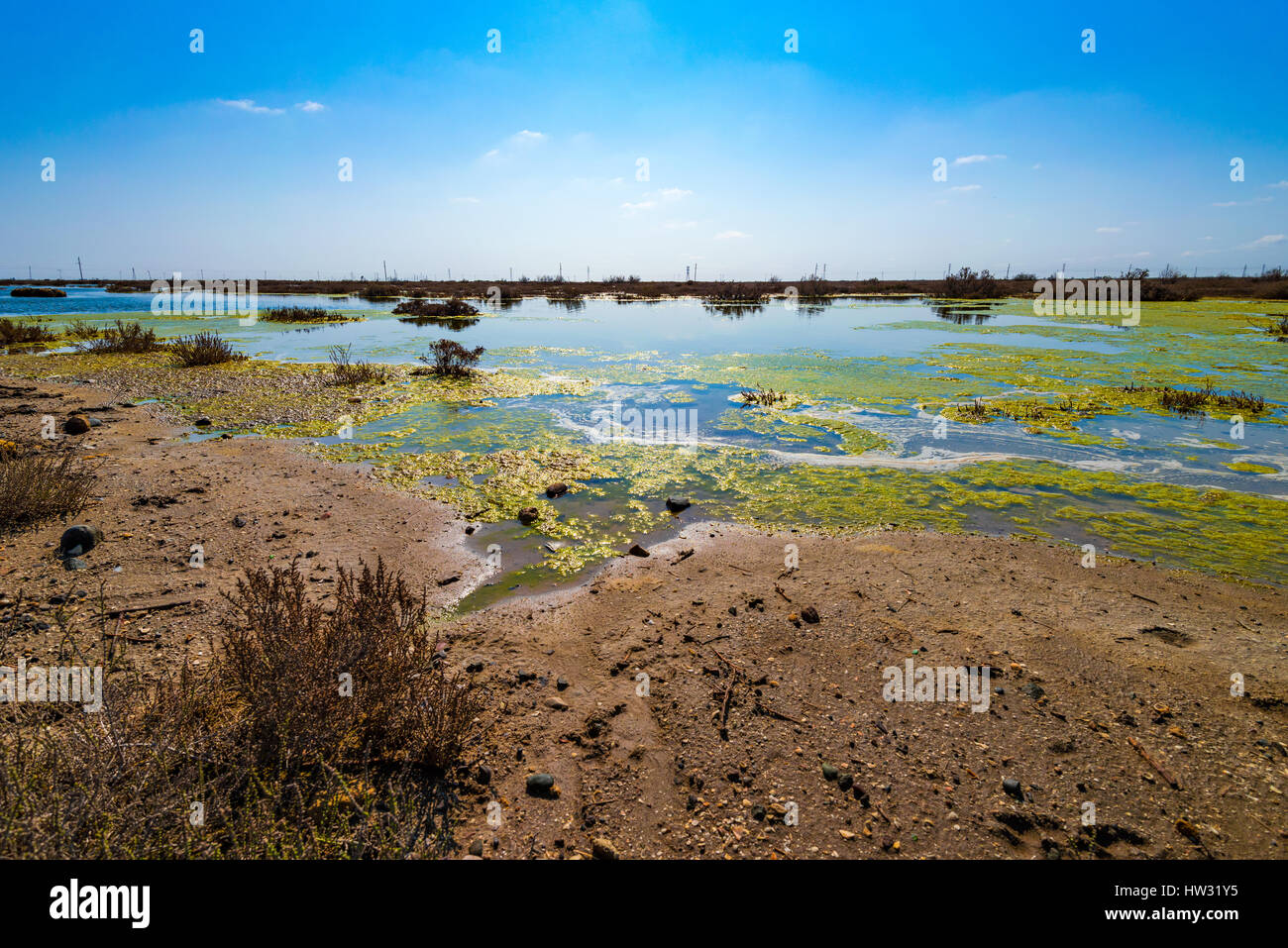 Contaminated surface hi-res stock photography and images - Alamy