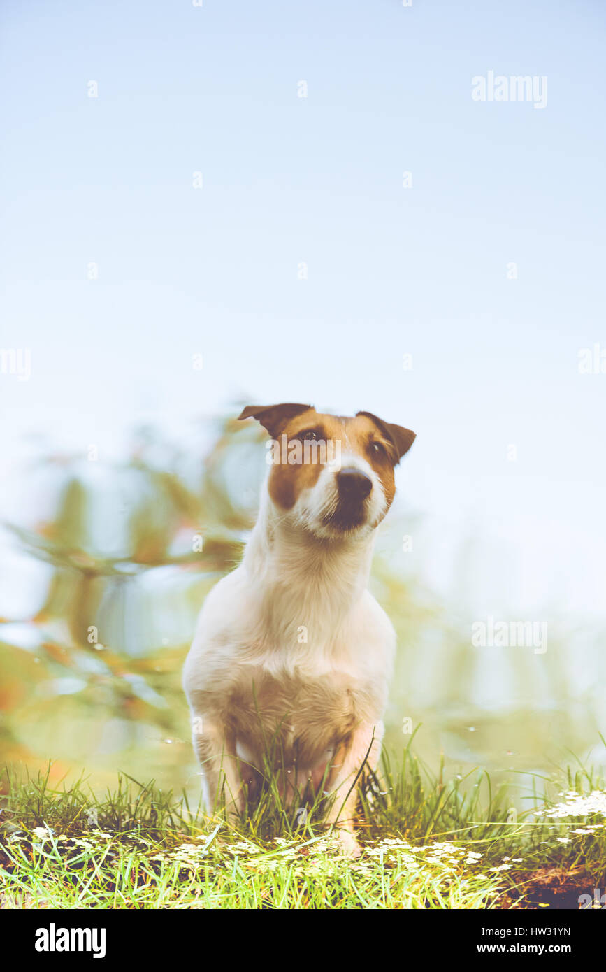 Funny reflection mirror hi-res stock photography and images - Alamy