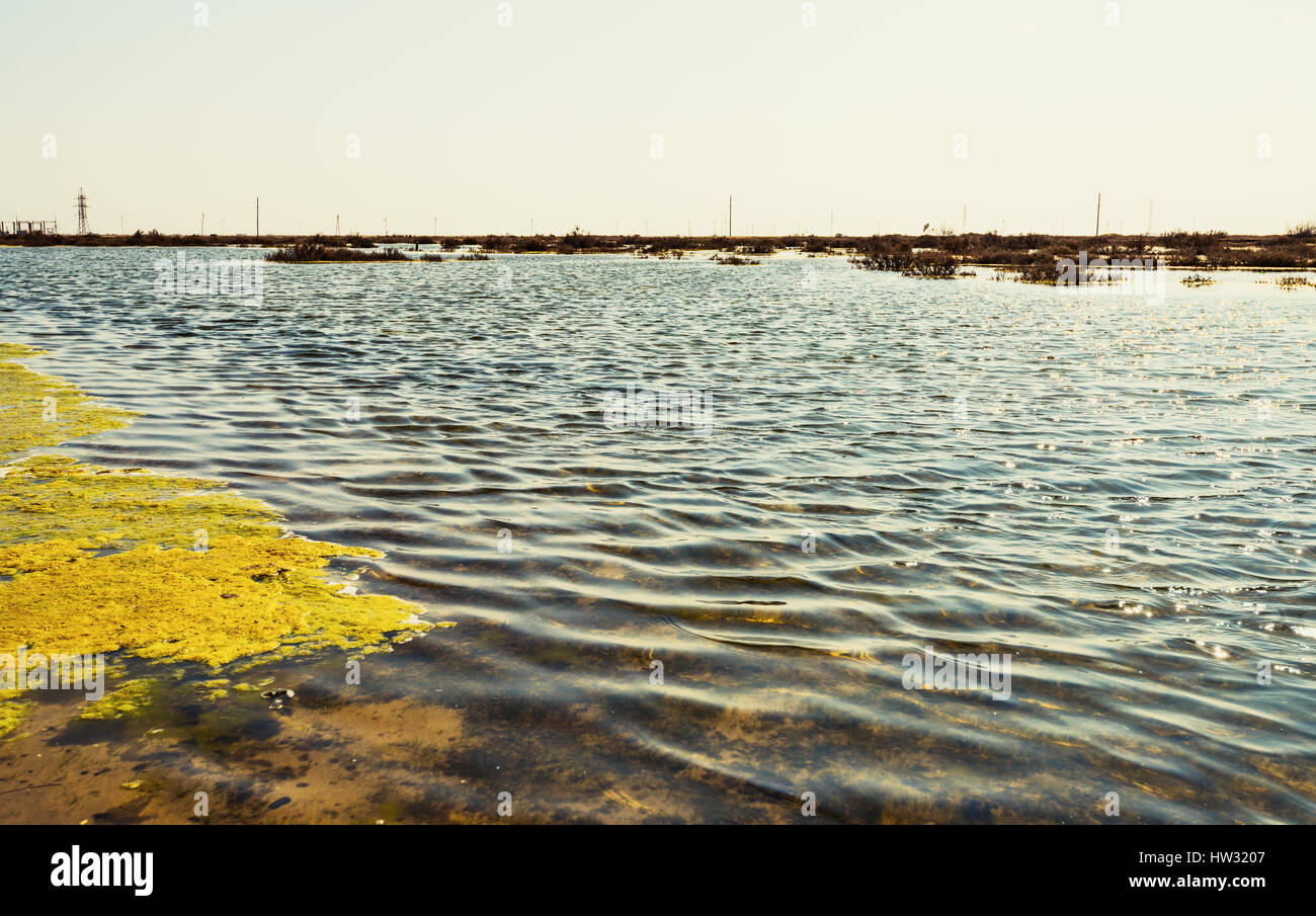 Contaminated surface hi-res stock photography and images - Alamy