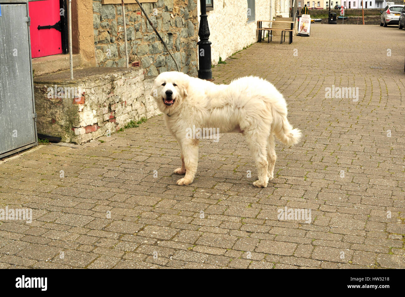 Naughty step hi-res stock photography and images - Alamy