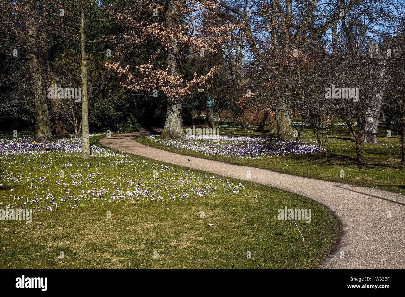 Spring flowers garden denmark hi-res stock photography and images - Alamy
