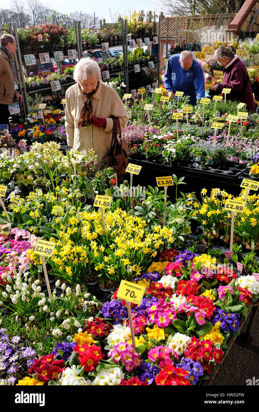 flower market, fakenham, norfolk, england Stock Photo - Alamy