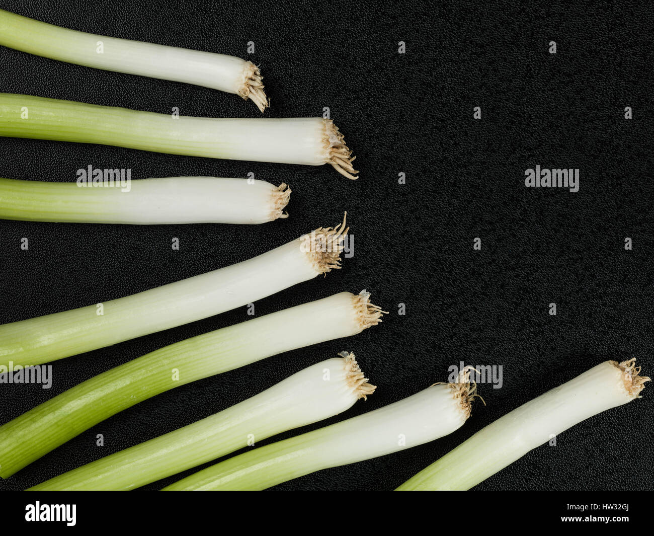 Fresh Uncooked Healthy Spring Onion Vegetables Stock Photo - Alamy