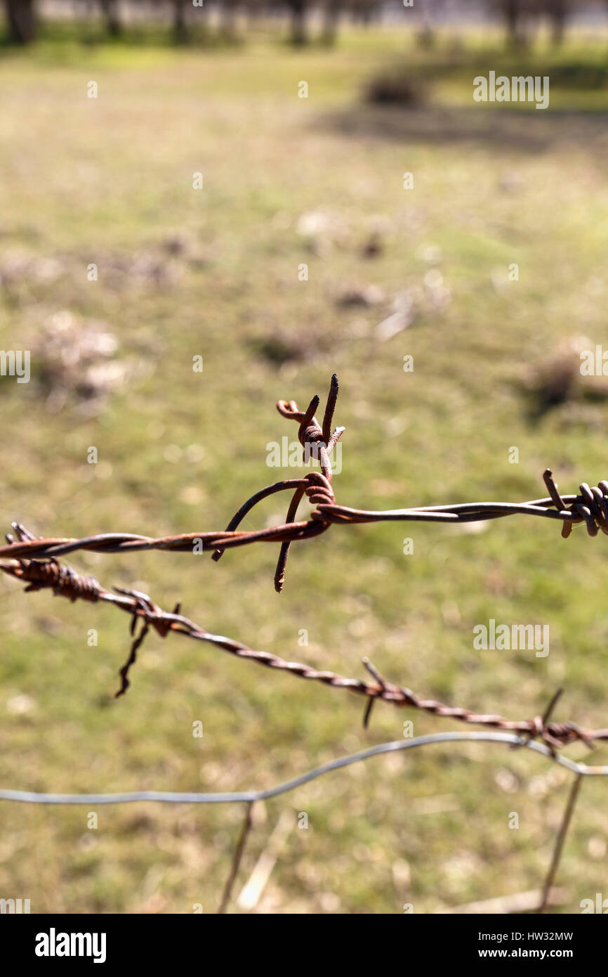 Iron Spikes High Resolution Stock Photography and Images - Alamy