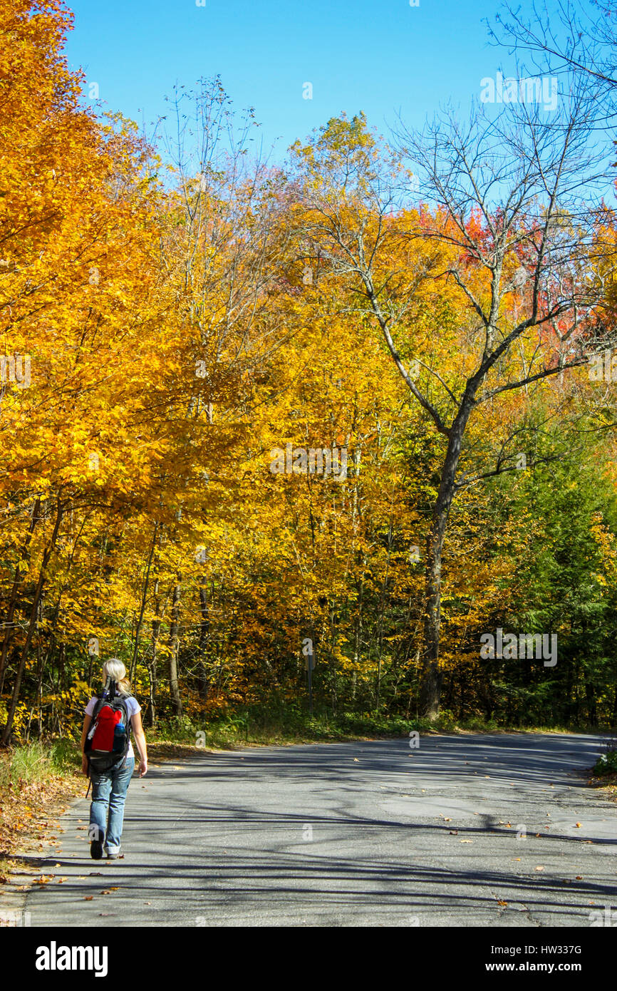 girl going hiking in a colorful forest Stock Photo - Alamy