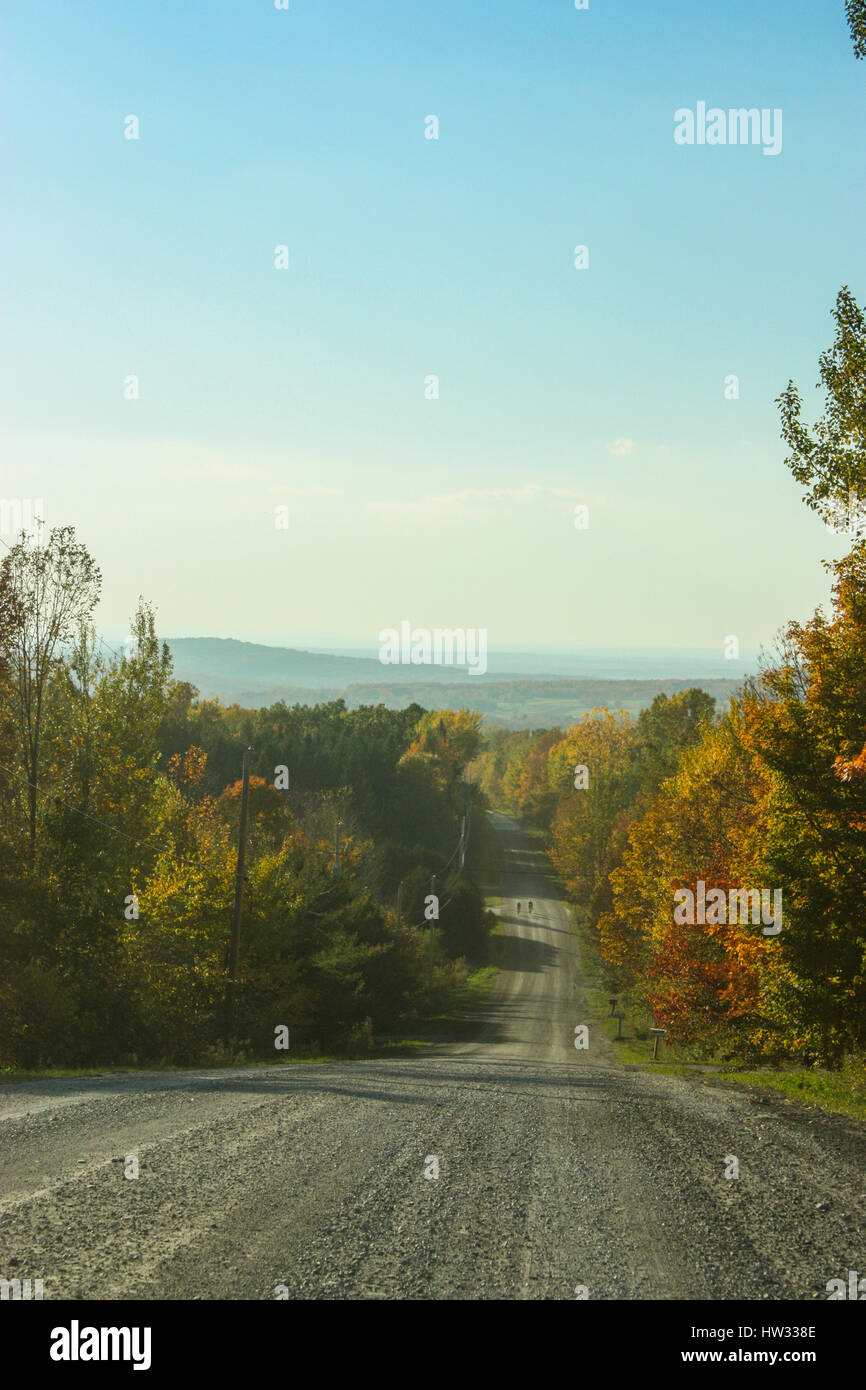 long dirt road in fall season Stock Photo - Alamy