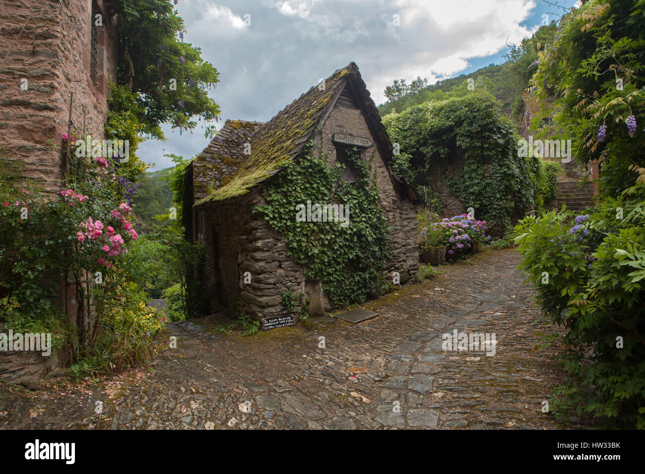 Medieval house covered with ivy in Conques, Aveyron, France Stock Photo ...