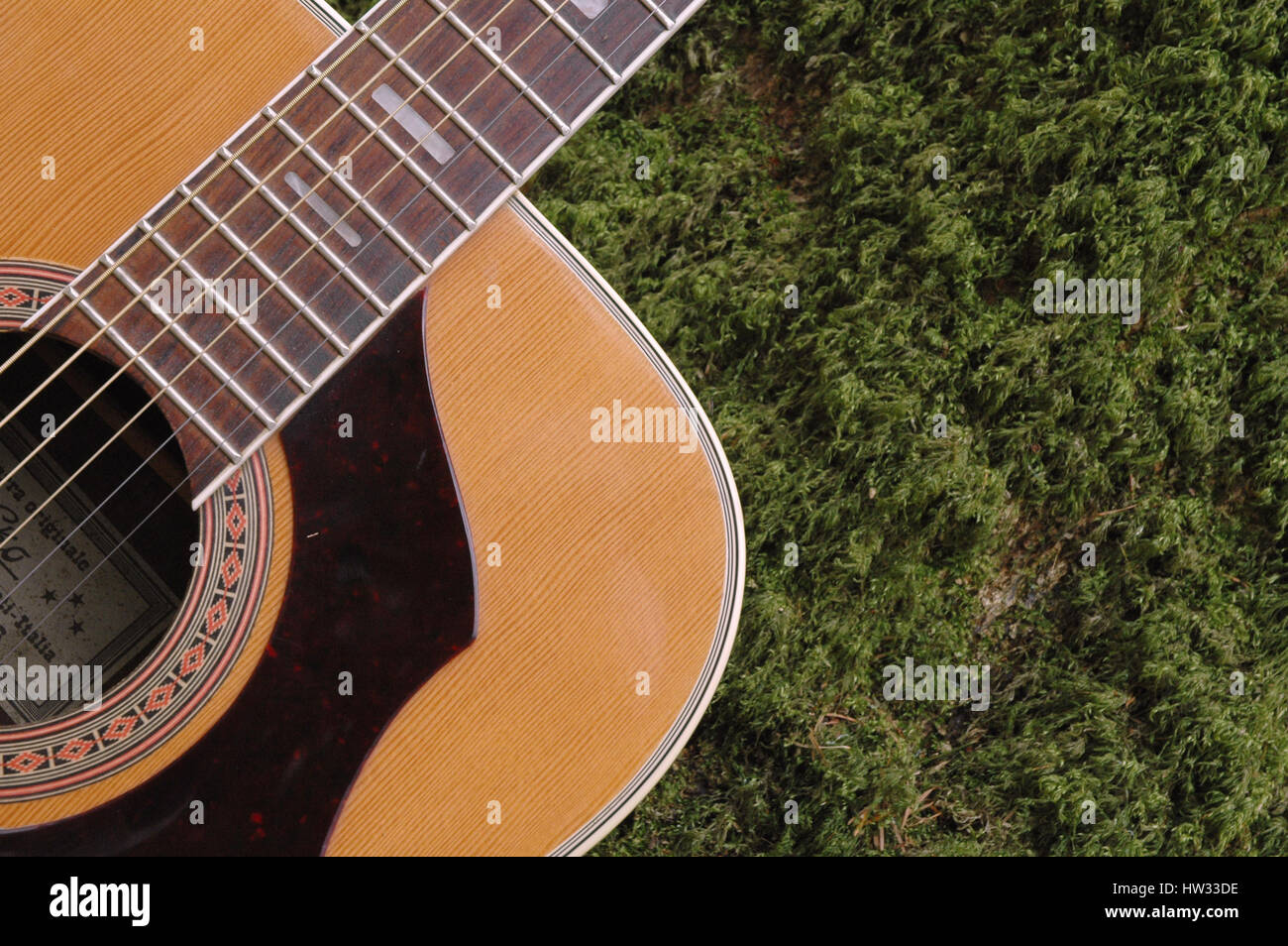 six string acoustic guitar in The New Forest, Hampshire, England Stock ...
