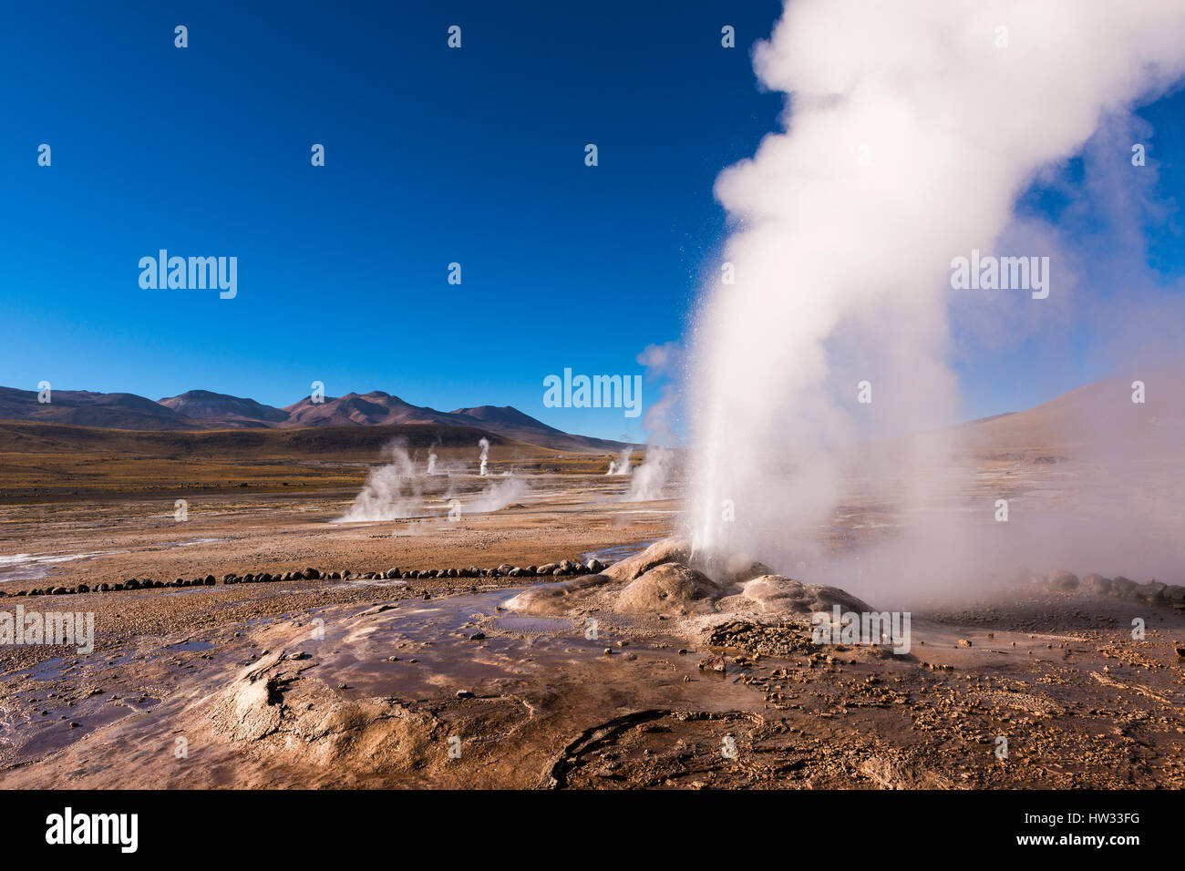 Geyser erupting activity in the Geysers del Tatio field in the Atacama ...