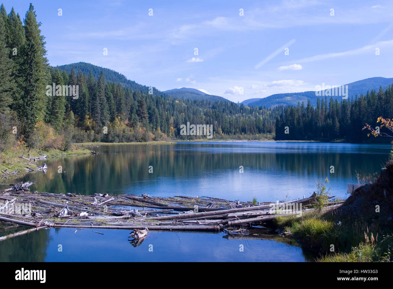 Logging pond hi-res stock photography and images - Alamy