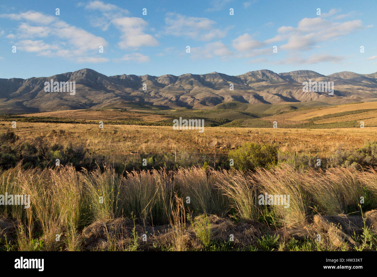 Karoo mountains hi-res stock photography and images - Alamy