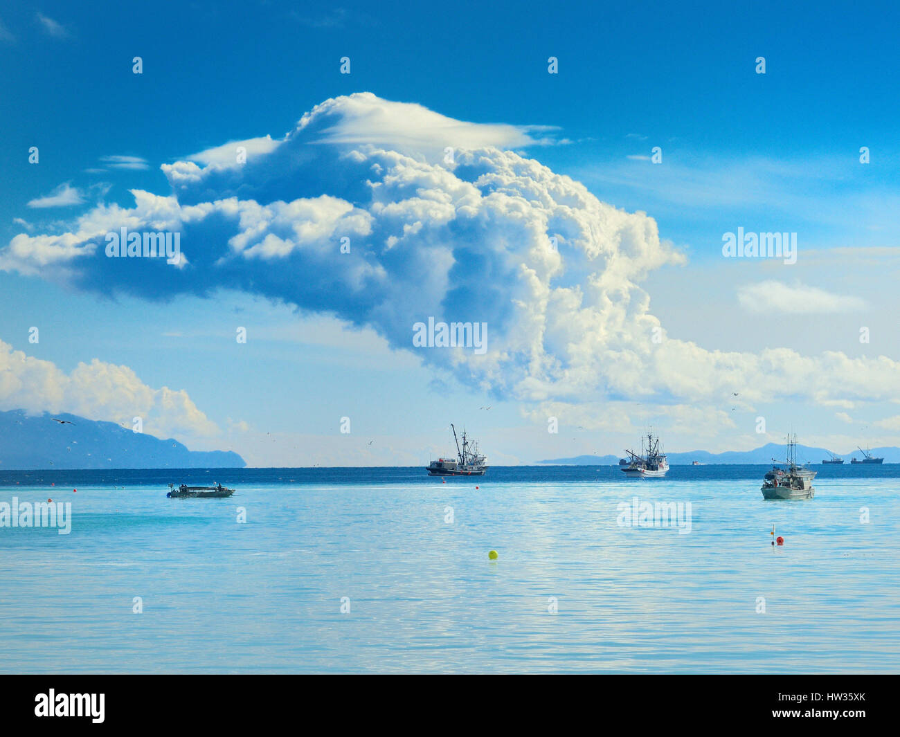 Annual herring run hi-res stock photography and images - Alamy