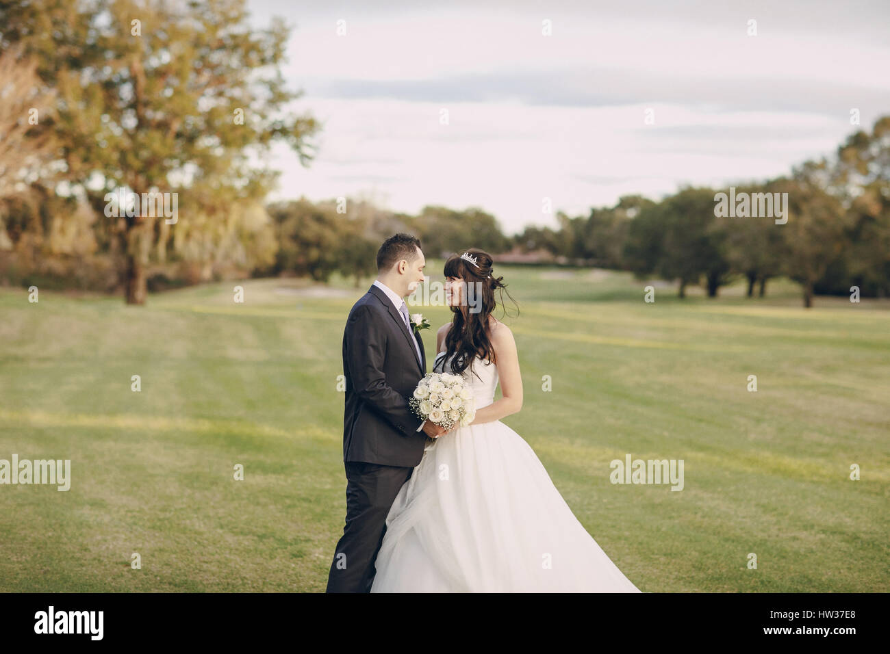 wonderful wedding day Stock Photo - Alamy