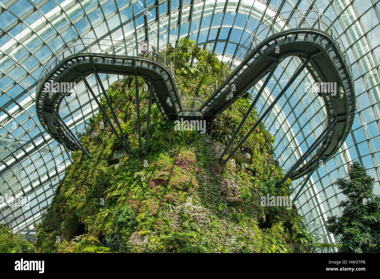 Walkway in the Cloud Forest, Gardens by the Bay, Singapore Stock Photo ...