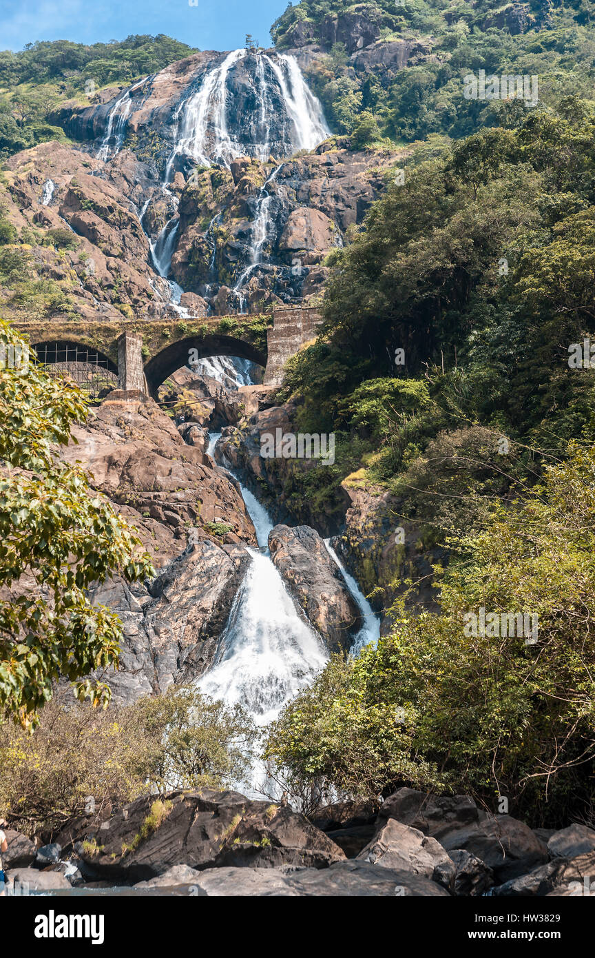 India, Goa, Mollem National Park. Dudhsagar Waterfall with the existing ...