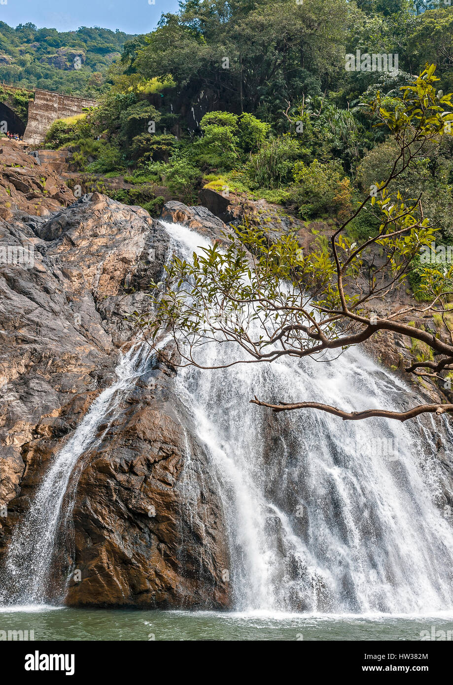 My mollem hi-res stock photography and images - Alamy