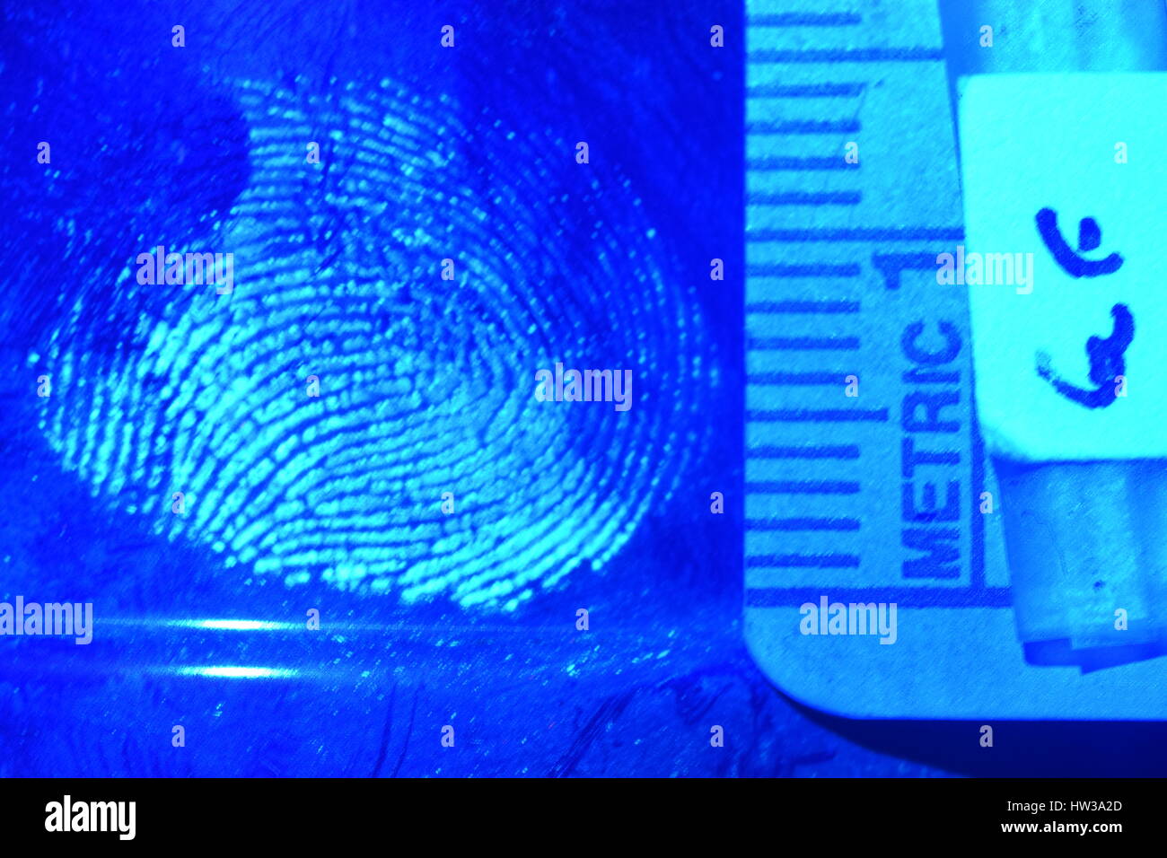 macro photography of processed fingerprints Stock Photo - Alamy