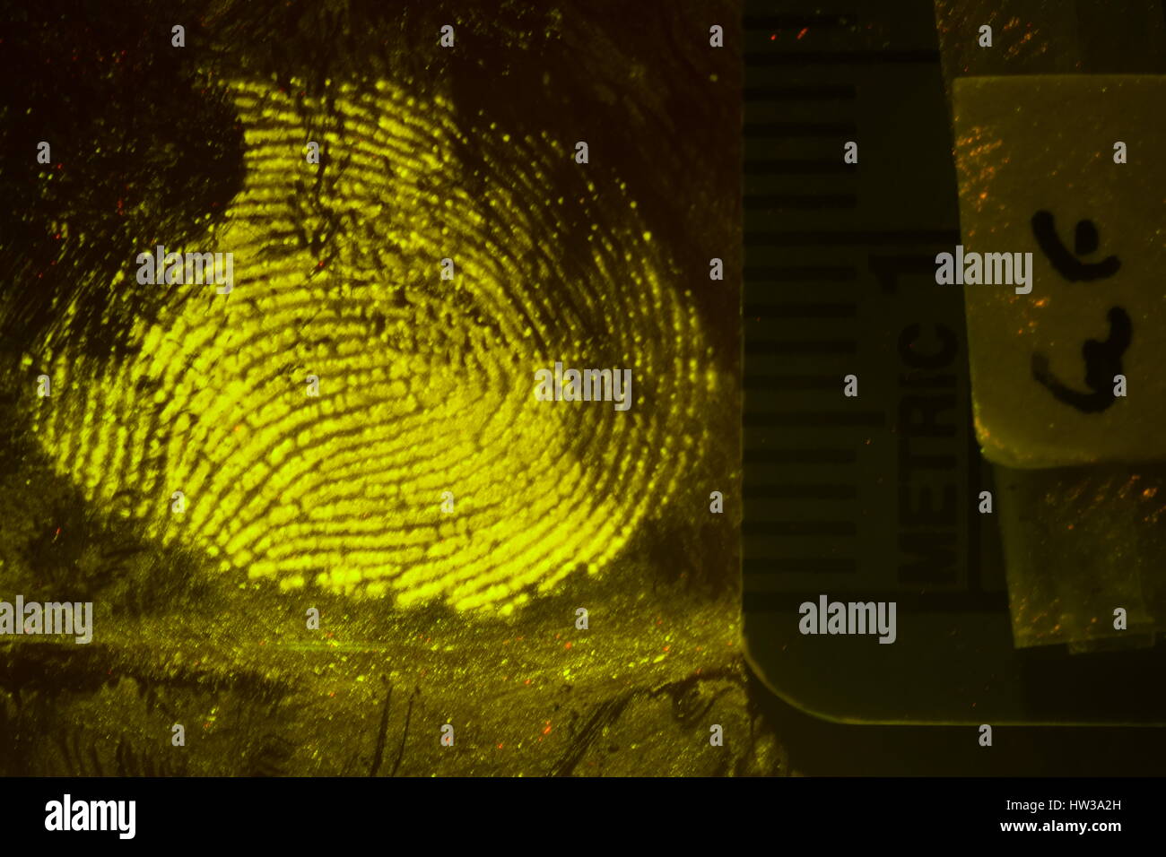 Crime scene fingerprints hi-res stock photography and images - Alamy