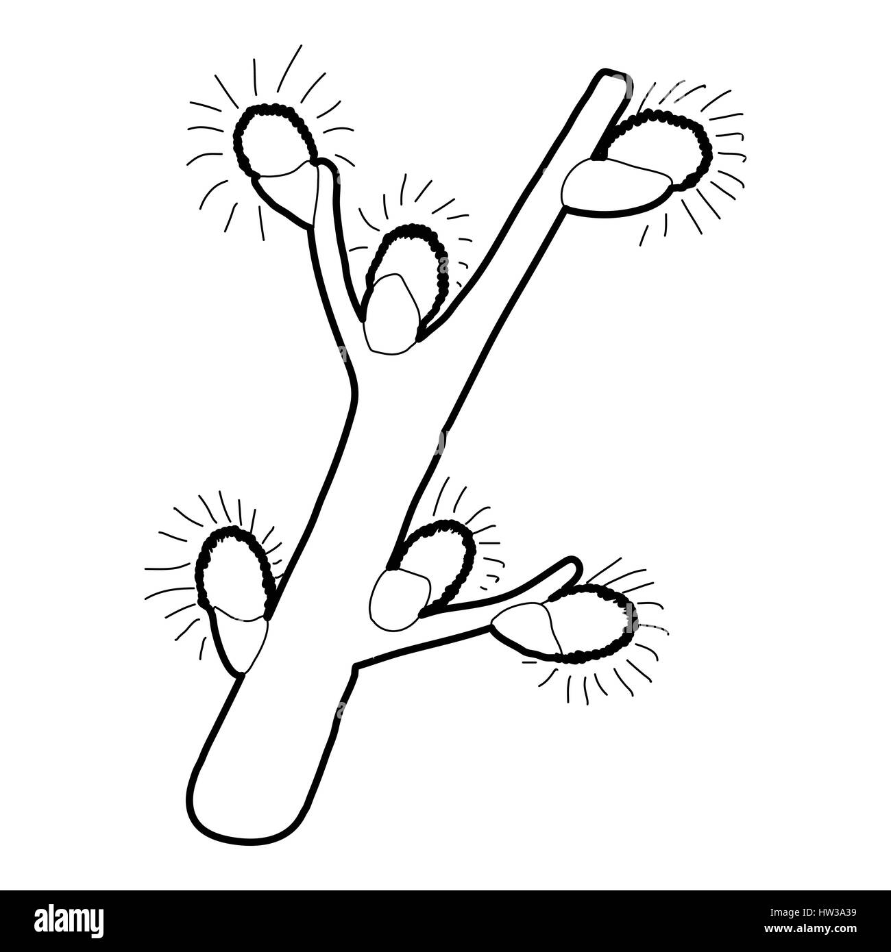 Spring flowering branch icon, isometric 3d style Stock Vector Image ...