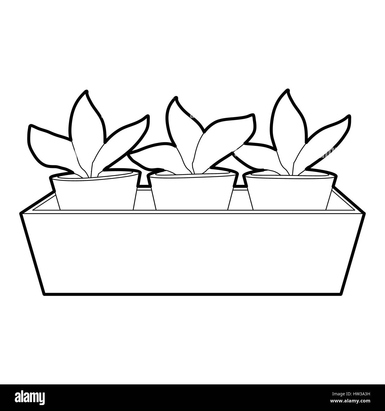 Young sprout seedlings in a flower box icon Stock Vector Image & Art ...