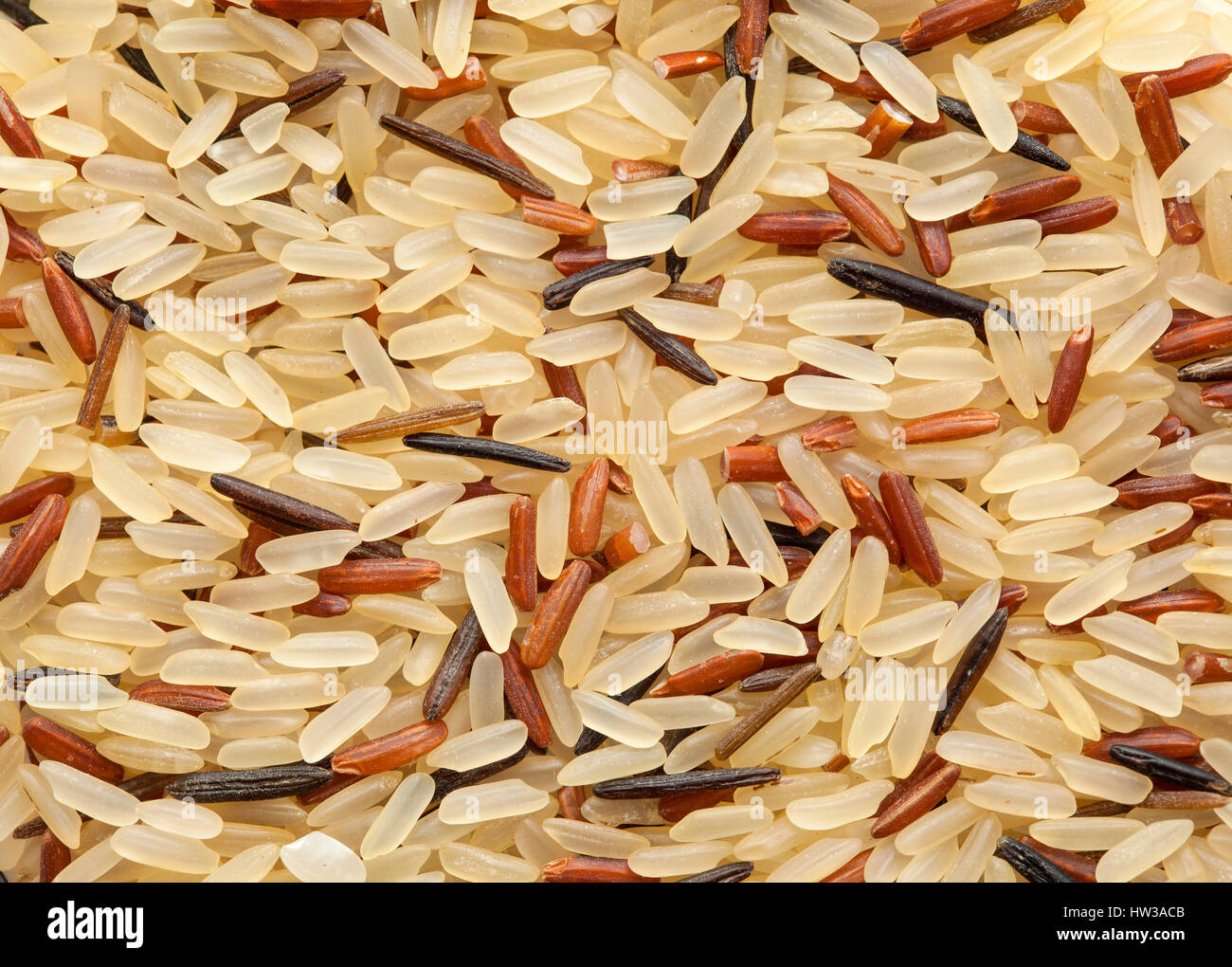 mixed rice, long grain basmati, red and wild, macro food background ...